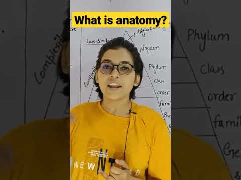 # what is difference between anatomy and morphology...??