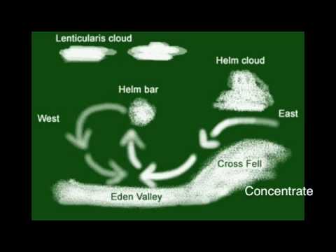 As it’s the height of the lambing season, here are The Helm Wind ...