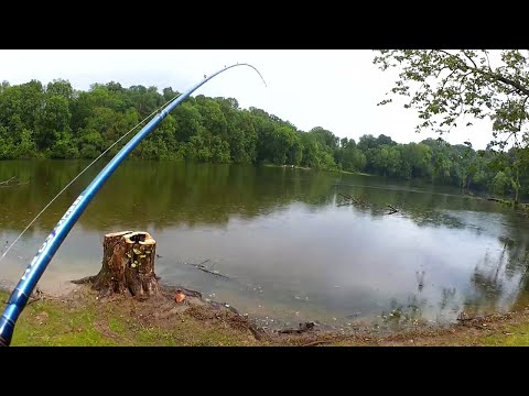 Bass Fishing With Strike King and YUM Lures (Texas Rig & Wacky ...
