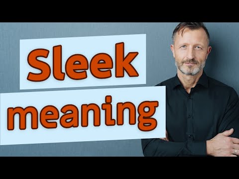 Sleek | Definition of sleek