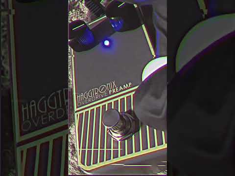 Haggtronix CCL Overdrive Preamp 2023 - Gray Powder Coat | Reverb
