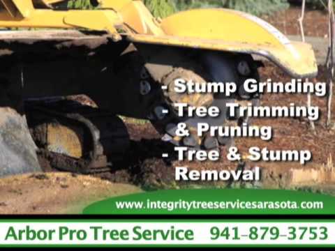 Integrity Tree Service-Arbor Pro's Tree Service, Sarasota, FL