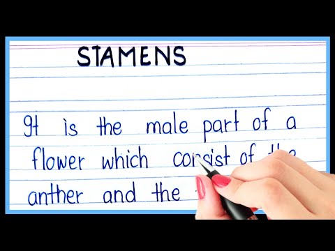 What is stamens | Definition of stamens | Define stamens