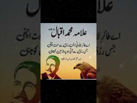 Aye Tair E Lahoti Us Riqz Se Maut Achhi , Jis Rizq Se Aati Ho Parvaaz Me Kotahi Allama Iqbal R.A 🌠💖
