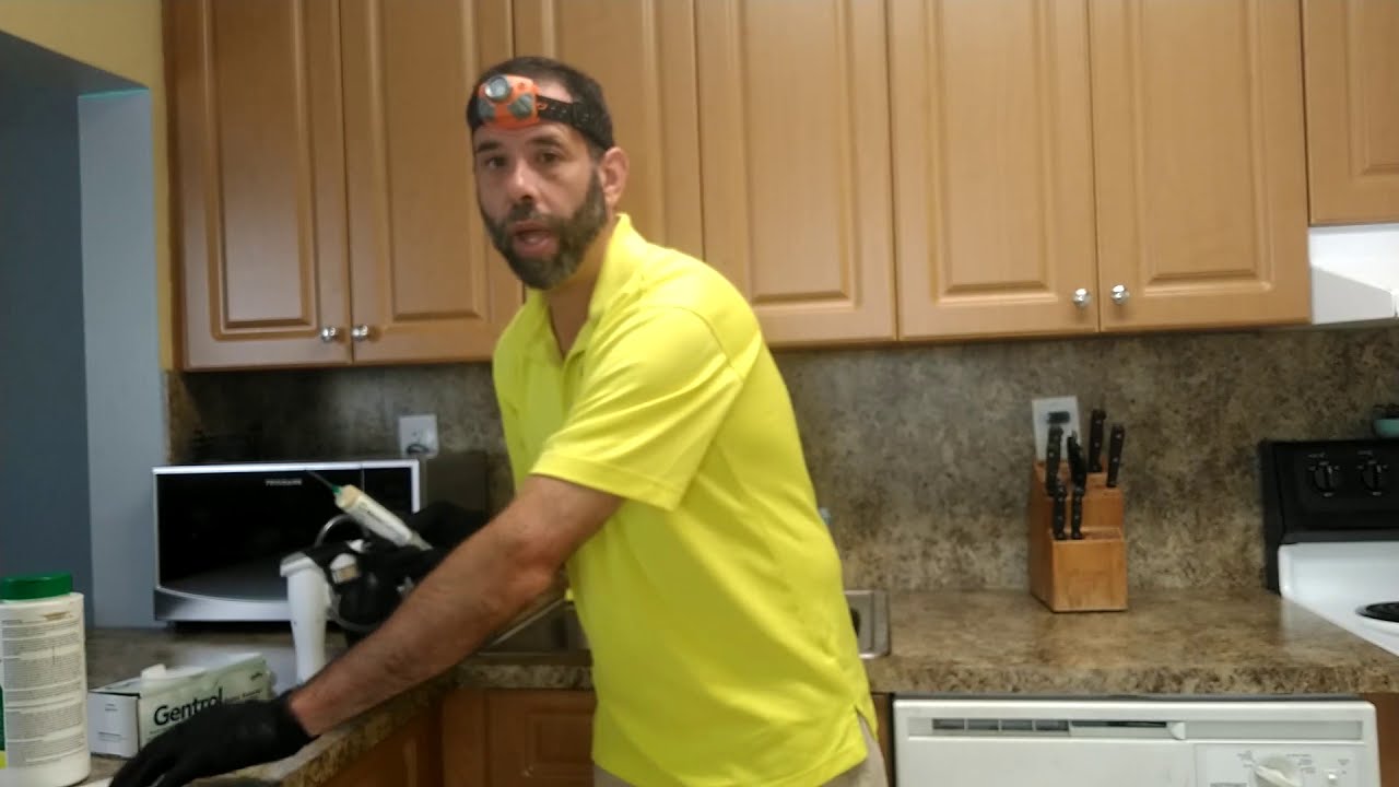 Performing An Organic Facilities IPM Compliant Preventive Maintenance Roach Service In Your Home