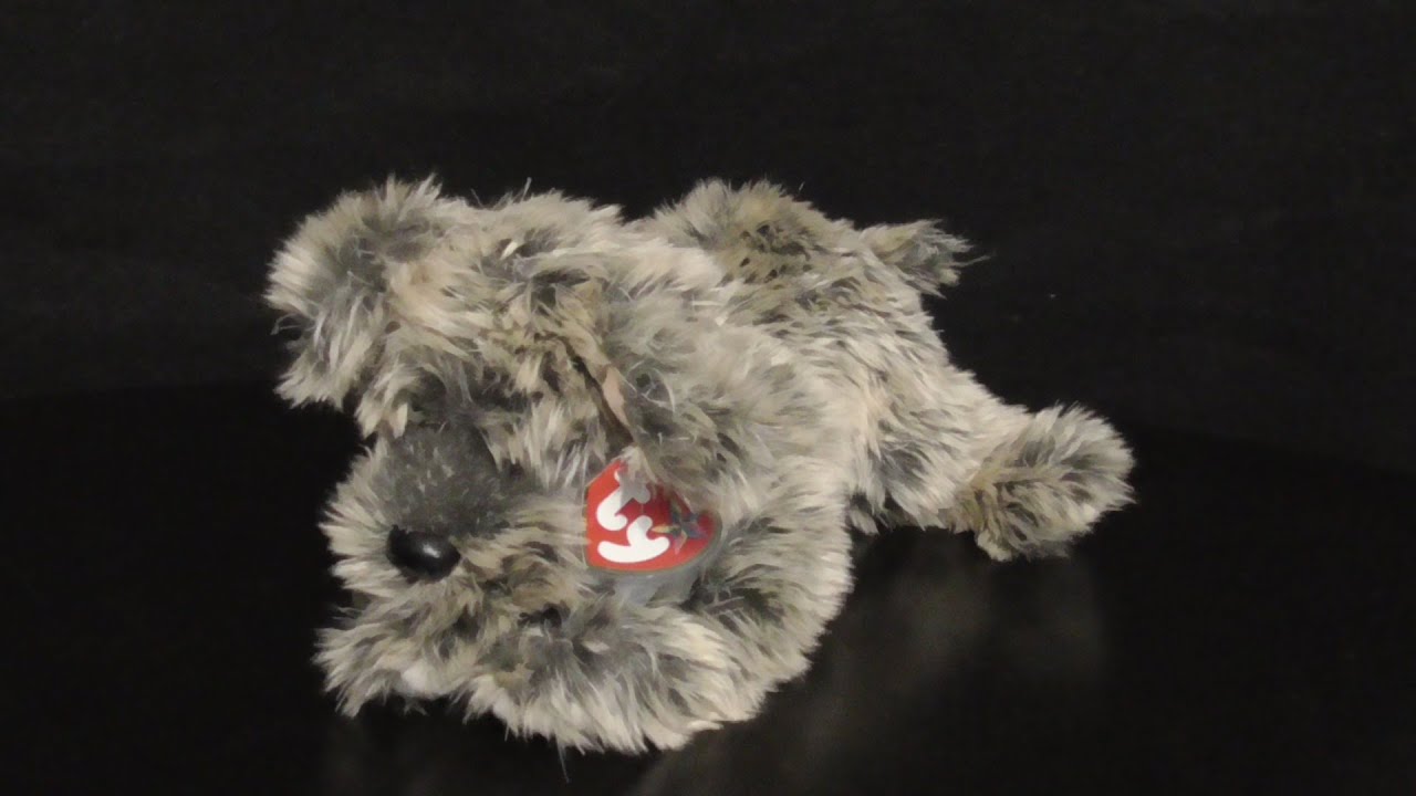 TY BEANIE BUDDIES 2005 CUTESY THE DOG PLUSH REVIEW