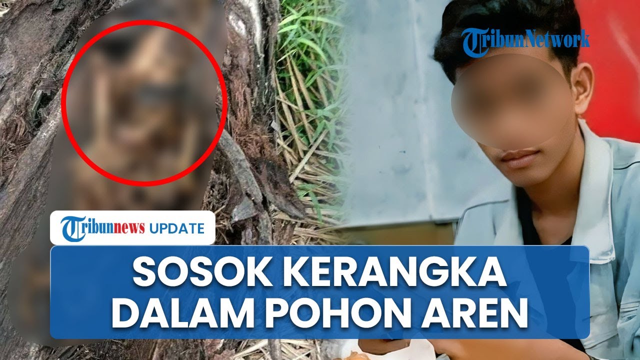 Identitas Kerangka Dalam Pohon Aren di Sumut Diduga Yuda Prawira, Hilang 2 Tahun usai Pamit ...