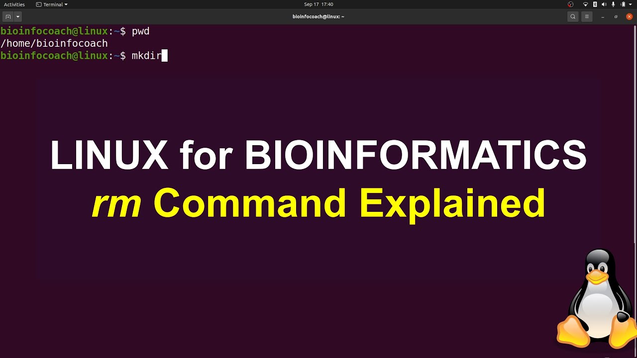 rm  command Explained in Linux for  Bioinformatics
