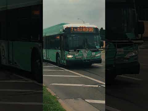 DDOT XD60 Articulated 15 series buses