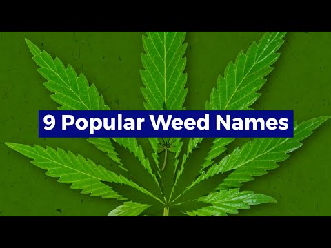 9 Popular Weed Names and What They Mean