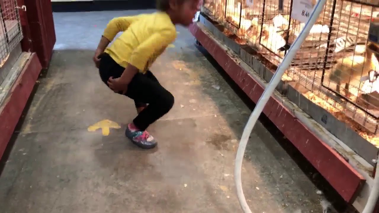 Here Ducky, Ducky!
