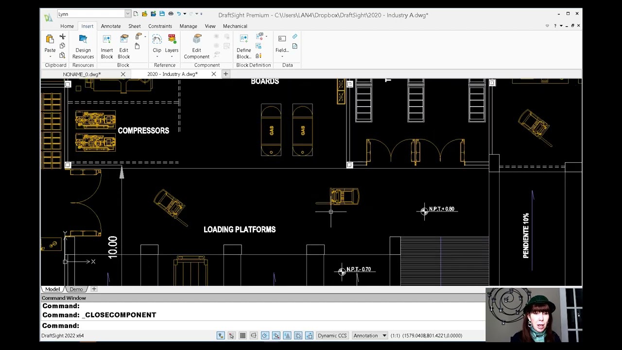 Lynn Allen Explains Speedy Block (and Nested Block) Editing in DraftSight
