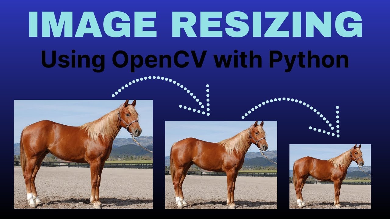 Image Resizing Using OpenCV || Python || Image Processing