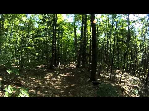 Walking the Turtle Lake Trail – wolfruck.com