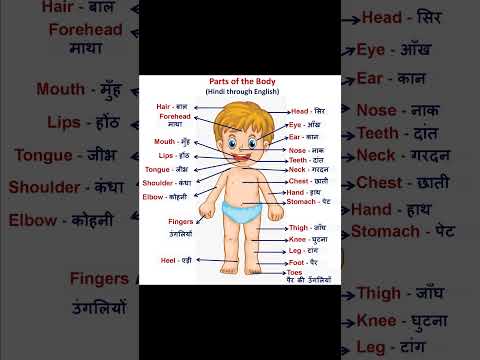 Parts of the Body-Hindi through English #hindi #bodyparts #english #tutorial #learnhindi #vocabulary