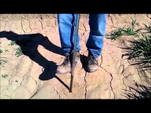 Soil Sampling Procedures for Field Crops