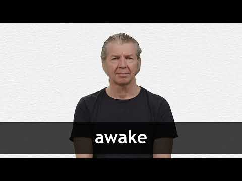 AWAKE - Definition & Translations | Collins English Dictionary