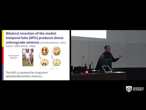 The Promiscuous Hippocampus - Professor Andrew Yonelinas
