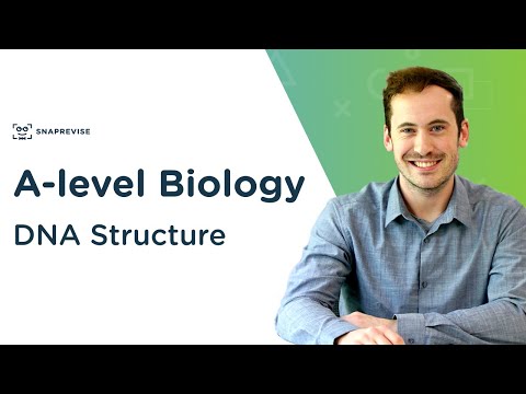 DNA Structure Video Lecture - Biology A-Level - A Level