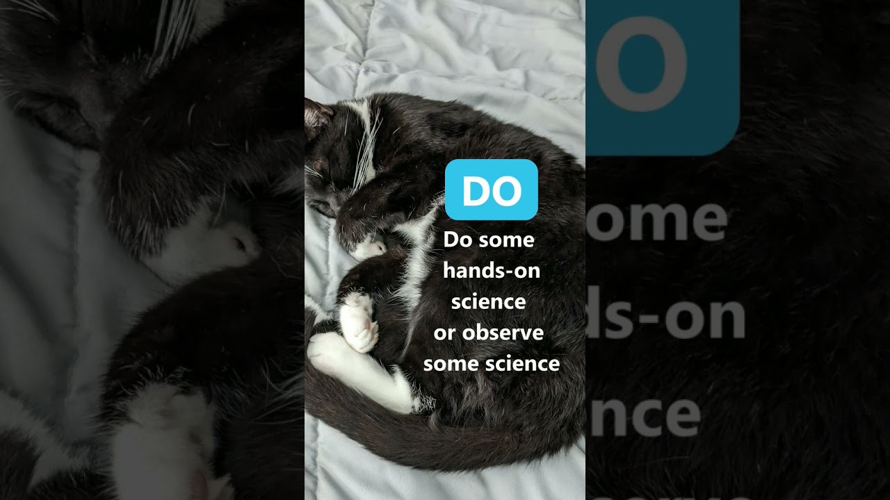 Homeschool Science Cat knows what you need for science each week . . . do you?