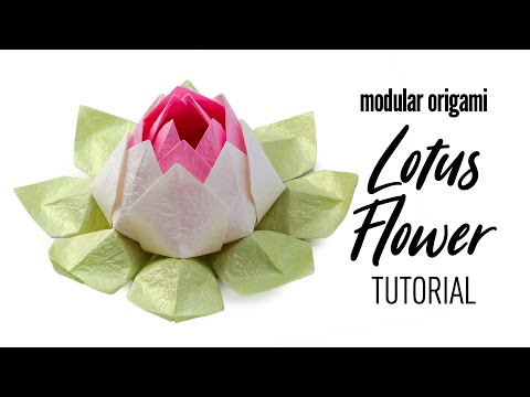 Modular Origami Lotus Flower Tutorial | The Secrets of OrigamiThe ...