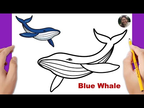 How to draw a whale easy | Easy drawing for beginners