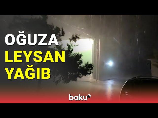 Oğuz və Lənkəranda leysan yağır - VİDEO - Oxu.az