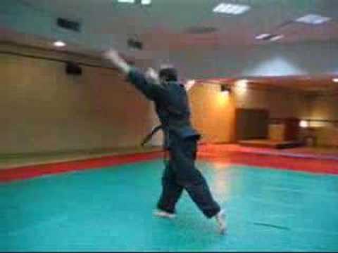 Black belt, 1st Dan syllabus - Ninjutsu | AKBAN