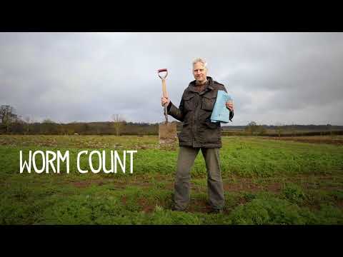 5 soil testing techniques every farmer should know