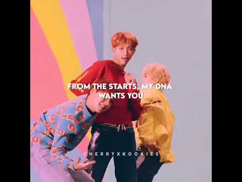 BTS dna english lyrics
