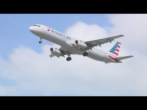 American Airlines Cracking Down On Emotional Support Pets