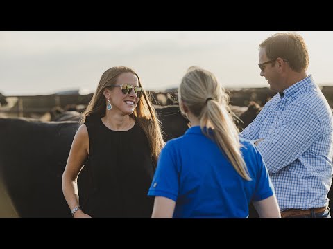A New Generation in Cattle Feeding | Traingle H