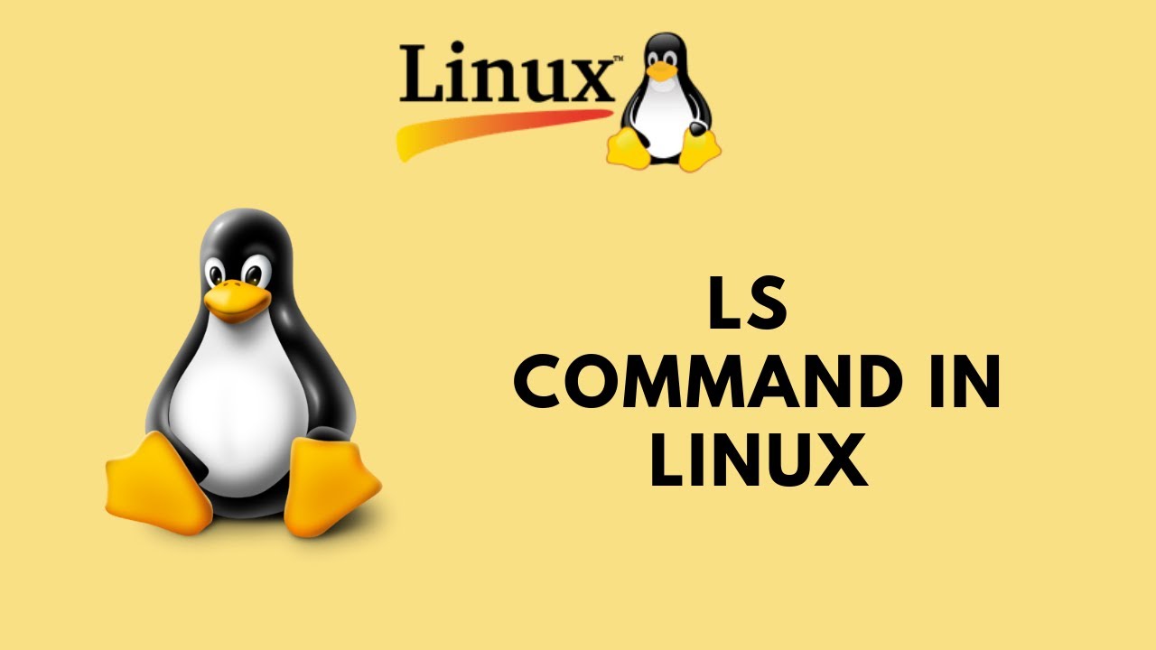 Linux Command Line Basics Tutorials - Ls Command in Linux