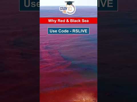 Why are the Red Sea and Black Sea called Red and Black?