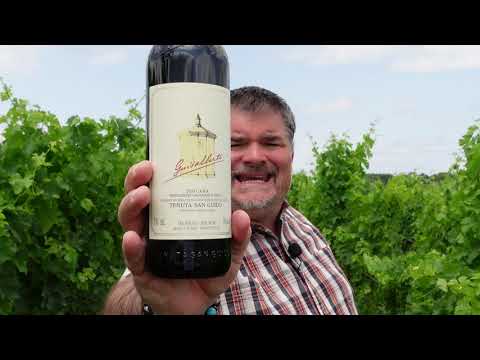 CLASSIC - Tenuta San Guido 2020 Guidalberto (Italy)