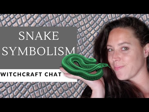 Snake Symbolism!! 🐍 Let's CHAT