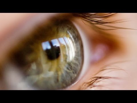 Eye on the Future - Professor William Ayiliffe