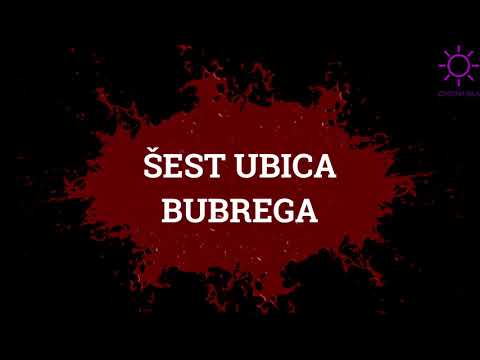 6 UB1CA BUBREGA - ovo UNISTAVA BUBREGE