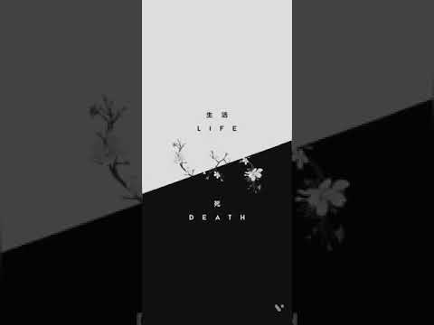Black Aesthetic Wallpapers