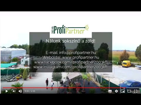 Profi Partner 2003 Kft.