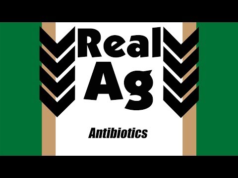 Real Ag (508) - Antibiotics