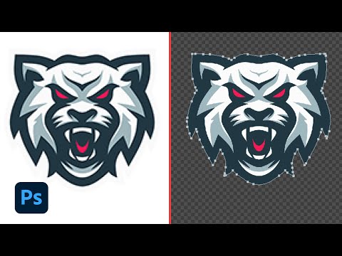 Convert low Resolution Multicolor color Graphics into High Resolution vector in photoshop