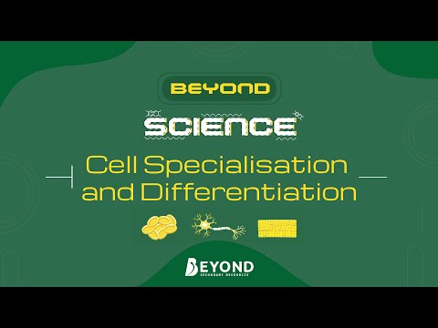 Beyond Science: Cell Biology - Cell Specialisation and Differentiation