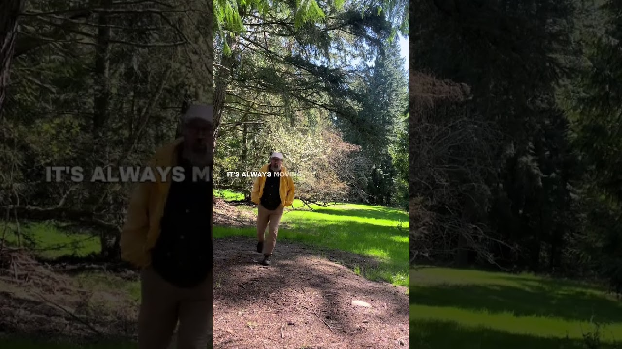 🌊 Joy & Sorrow: Where grief is love’s echo. 💔✨ #Poem #EmotionalDuality #grief #IWasMondieAllAlong