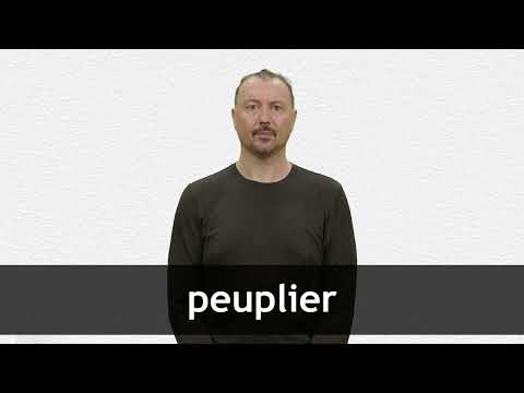 English Translation of “PEUPLIER” | Collins French-English Dictionary