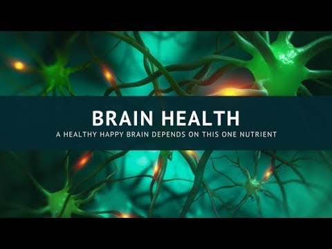 A Healthy Happy Brain Depends On this ONE Nutrient