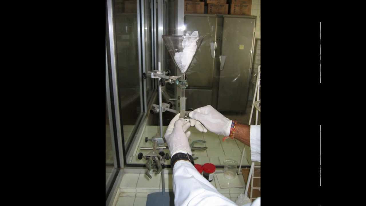 Diagnóstico de las nematodosis pulmonares en ganado ovino