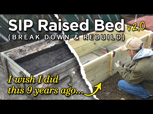 Revamping a Self-Watering SIP Raised Bed: A Comprehensive Guide | Galaxy