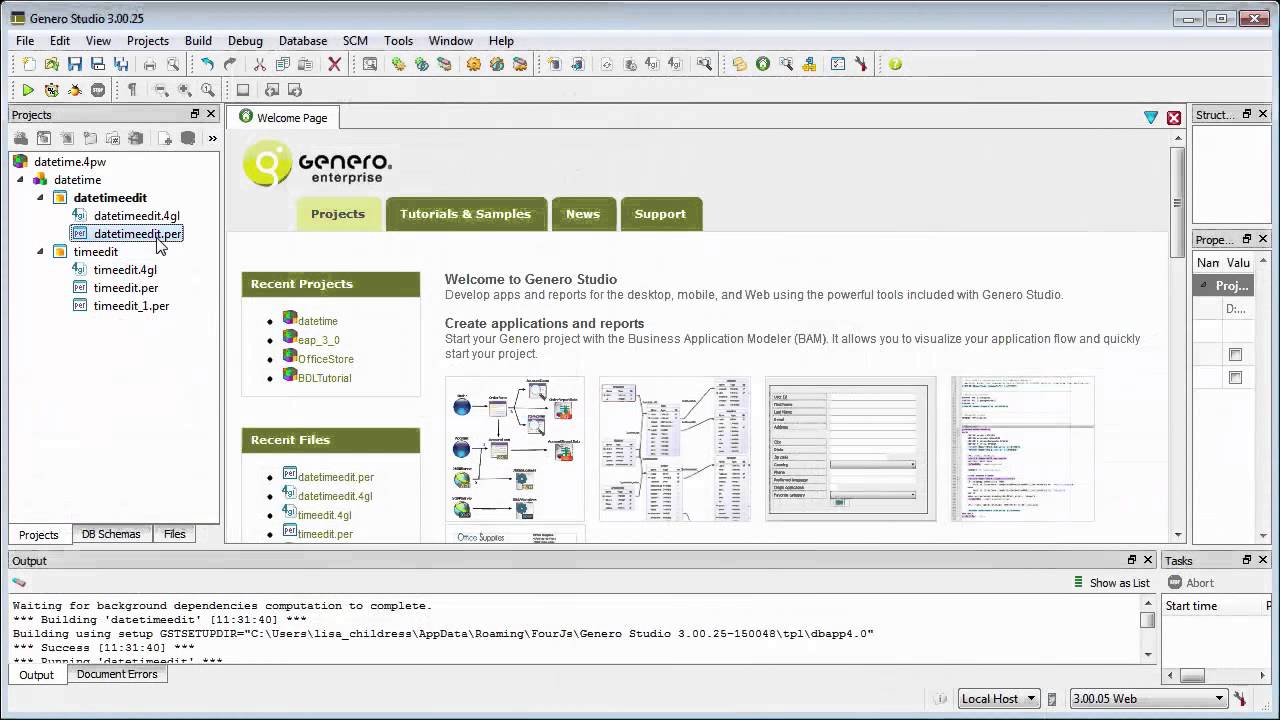 The DATETIMEEDIT Widget
