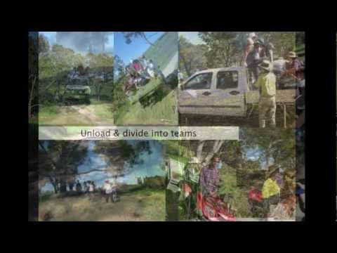 ‘Summerfest’ Date Claimer | Notes Along The Way